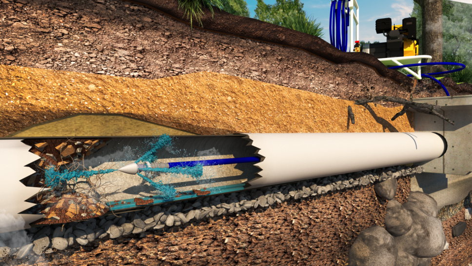 How to Get Rid Tree Roots in Sewer Line: DIY And Experts Tips